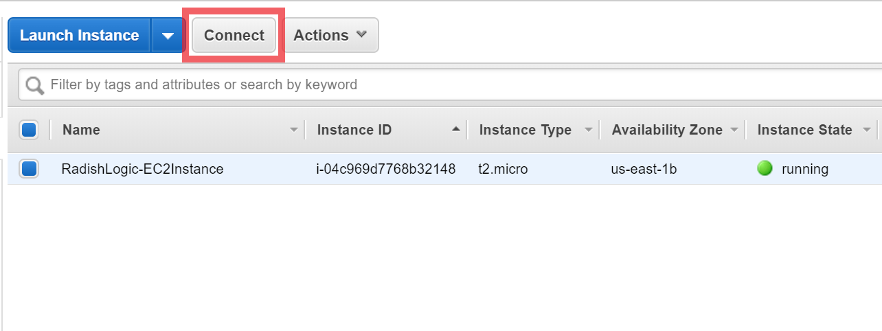 EC2 with IAM Role: CloudFormation Sample Template - Radish Logic