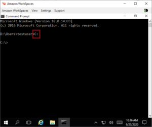 How to access the C: Drive in Amazon Workspaces - Radish Logic