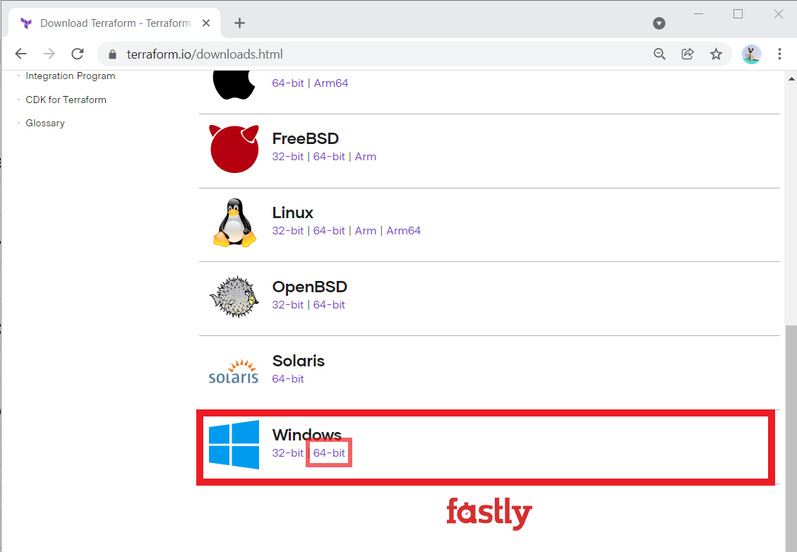 How to install Terraform in Windows 11 - Radish Logic